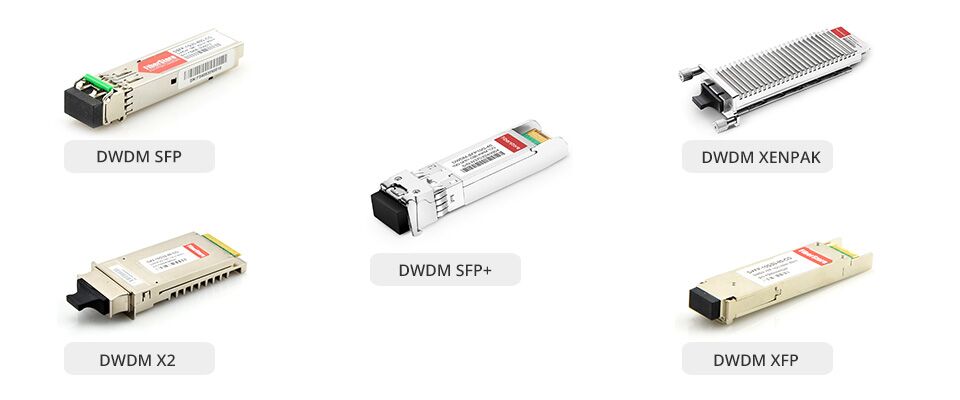 Taking an In-depth Look at DWDM Transceivers