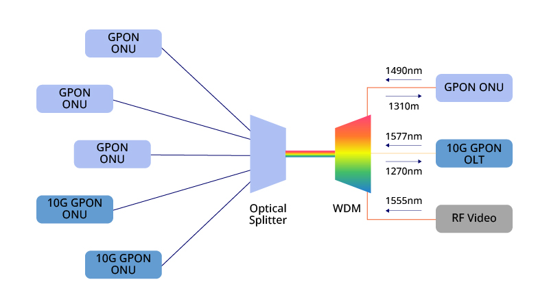 GPON vs. XG PON vs. XGS PON: Which PON Technology Is Right for Your Network?
