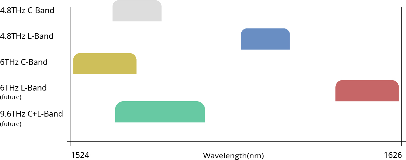 Everything You Need to Know About ROADM Types