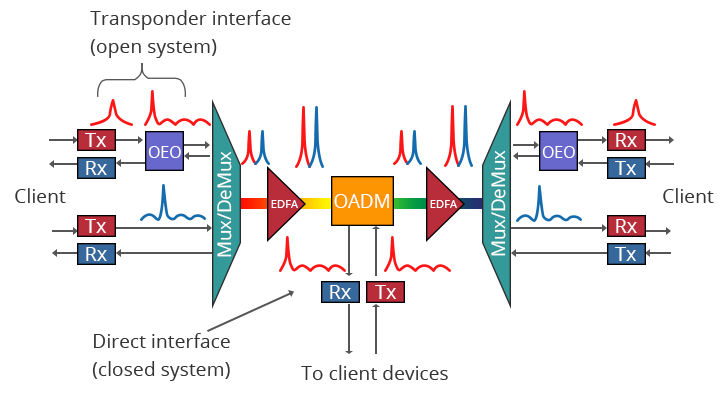 5 Basic Things You Need to Know About DWDM