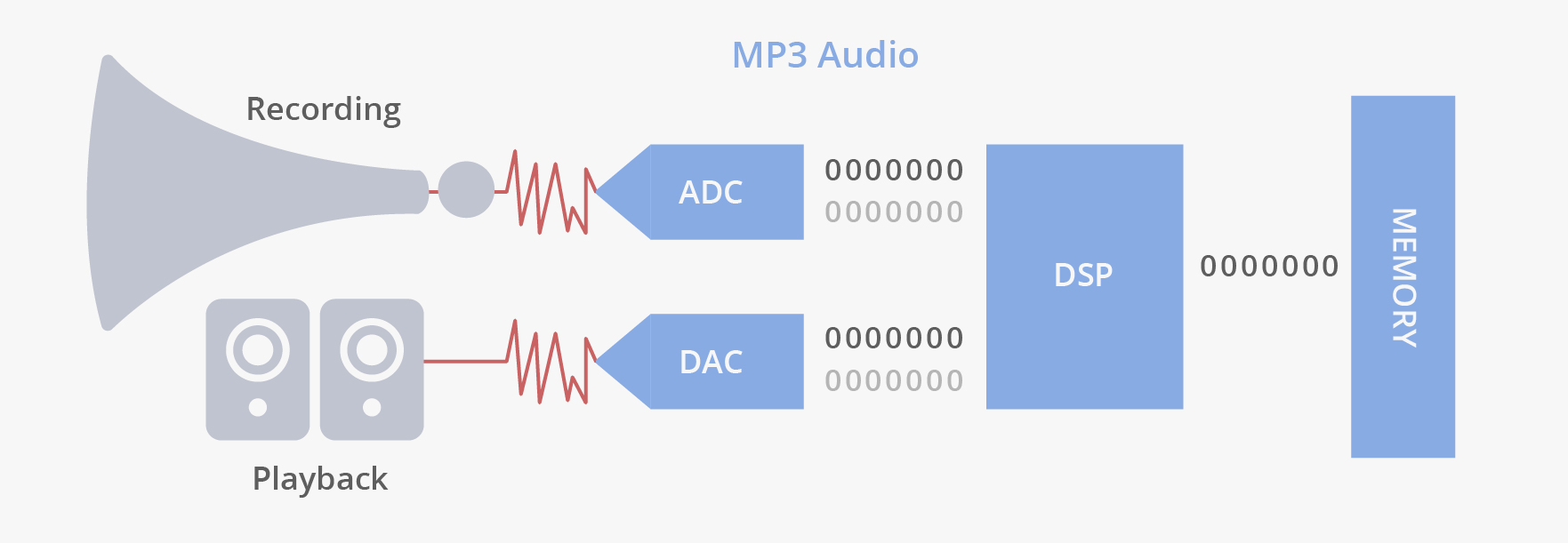 Understanding DSP in Coherent Optical Modules