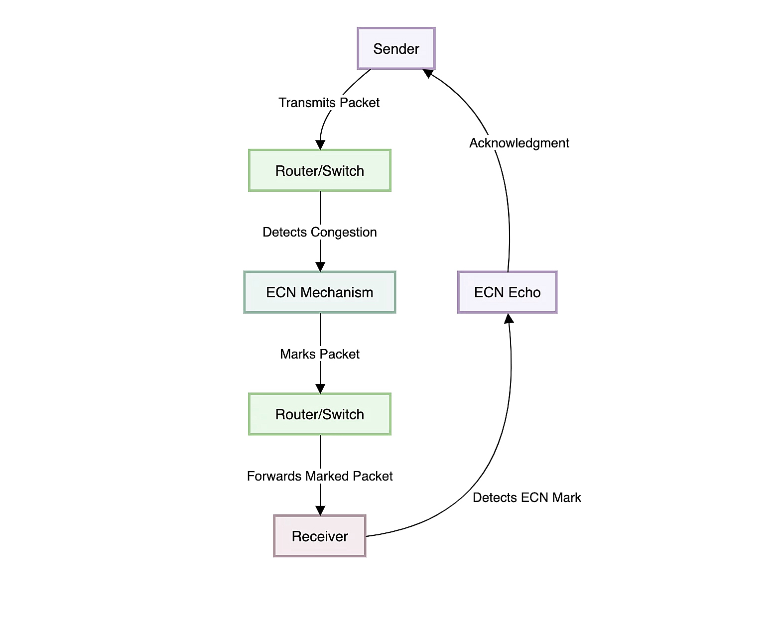 The Role of ECN in Switches