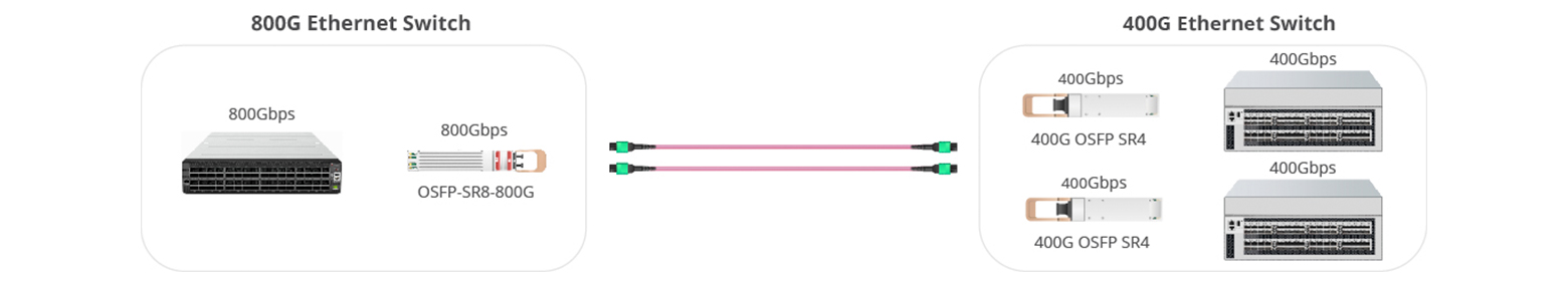 800G SR8 Module: Powering HPC Data Centres