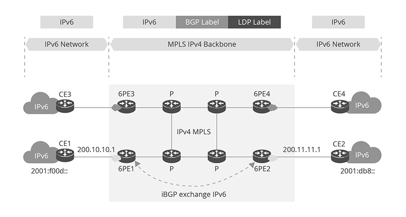 How to Achieve IPv4 and IPv6 Coexistence: Dual Stack or MPLS Tunnel?