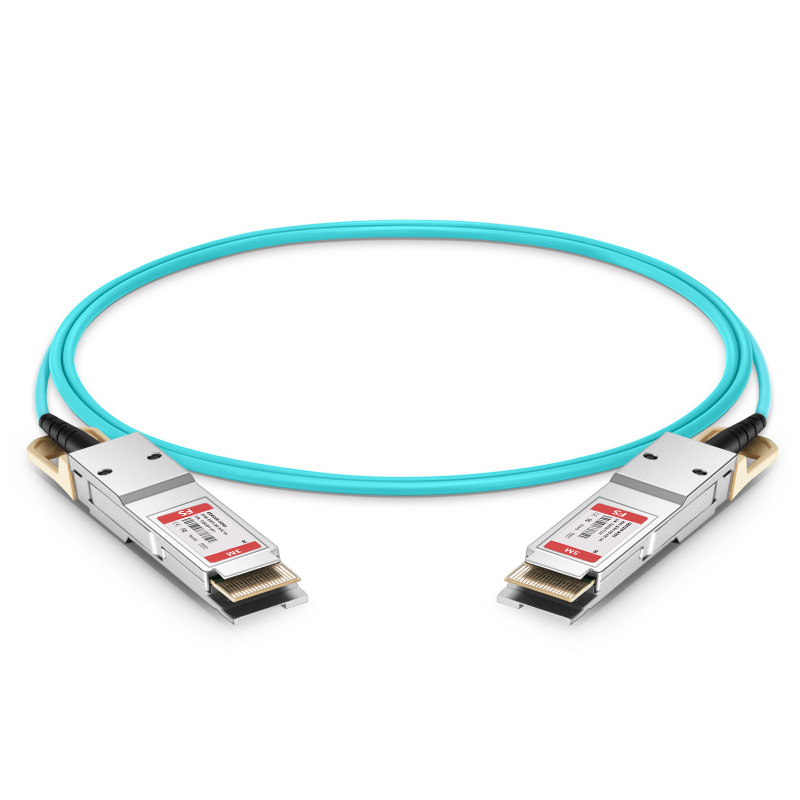 3m (10ft) Dell Compatible 200G QSFP-DD Active Optical Cable - FS