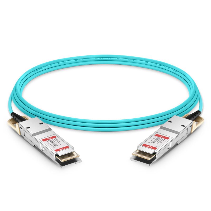 15m (49ft) Dell Compatible 200G QSFP-DD Active Optical Cable - FS.com