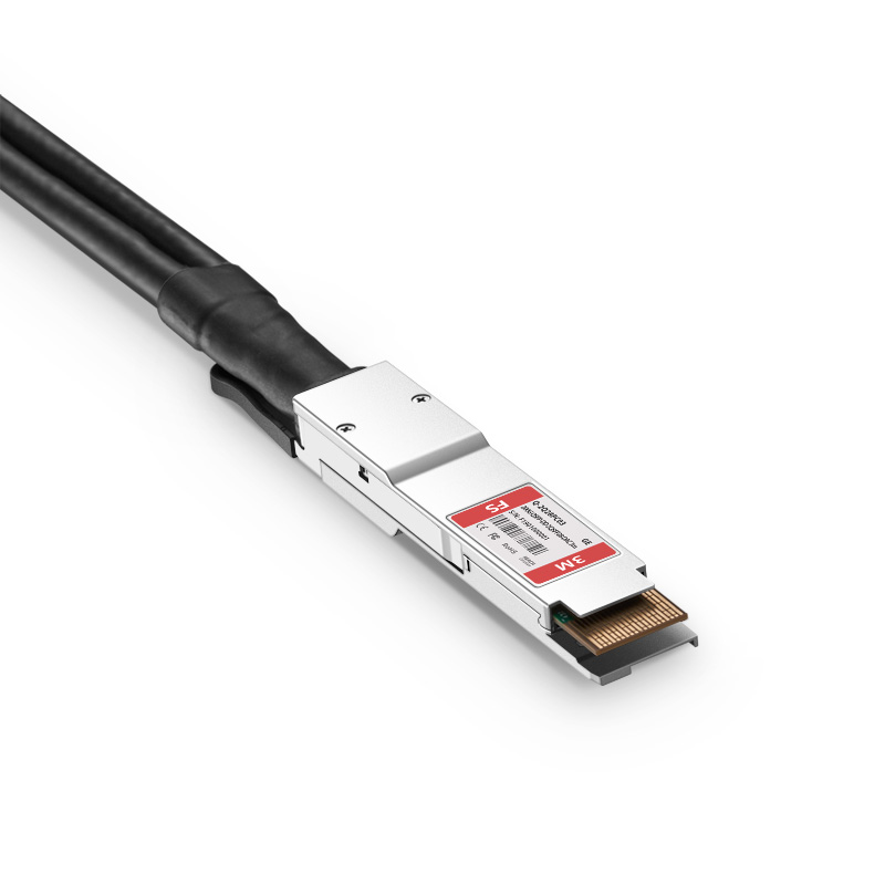 200GbE QSFP-DD Breakout Cable - 3m Generic 200G QSFP-DD to 2x QSFP28 DAC Twinax Cable - FS.com