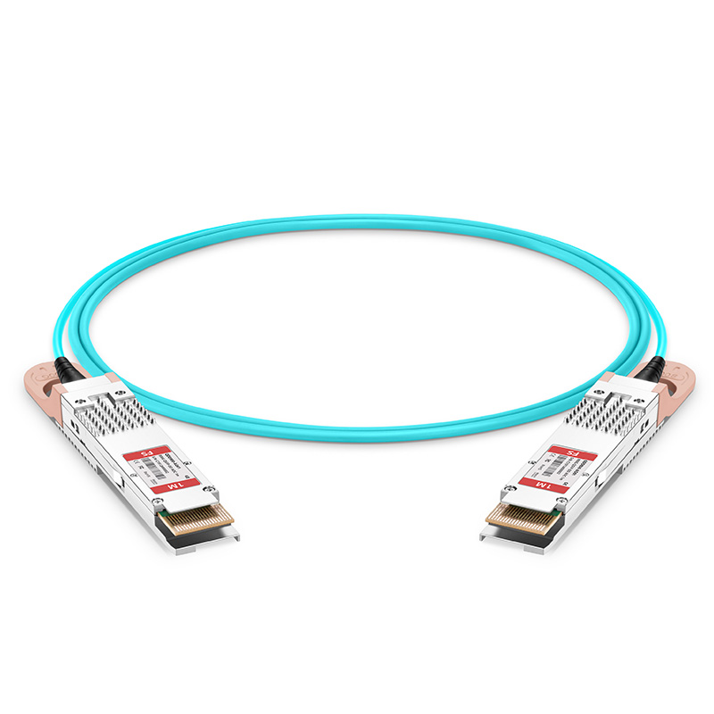 1m (3ft) Generic Compatible 800G QSFP-DD Active Optical Cable - FS.com Australia