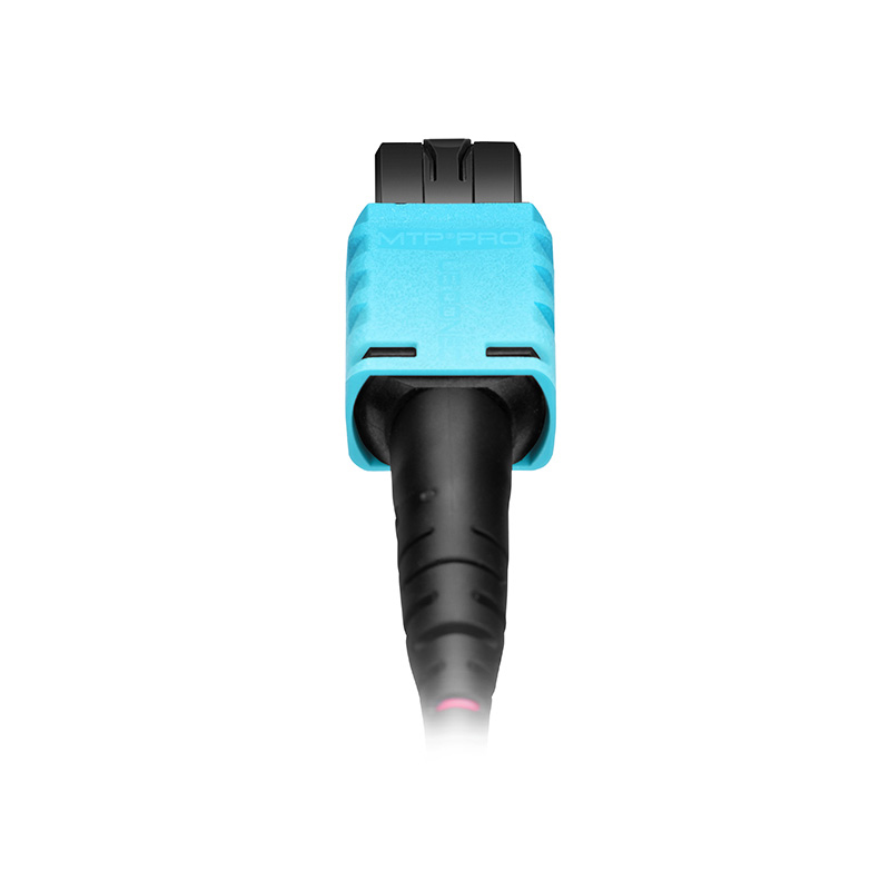 2m (7ft) MTP® PRO Jumper, MTP® PRO-12 UPC (Female) to MTP® PRO-12 UPC ...