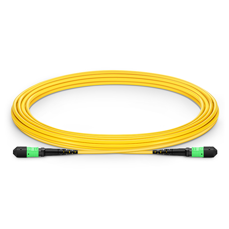 NVIDIA/Mellanox MFP7E30-N005 Compatible 5m (16ft) MPO Jumper, MPO-12 ...