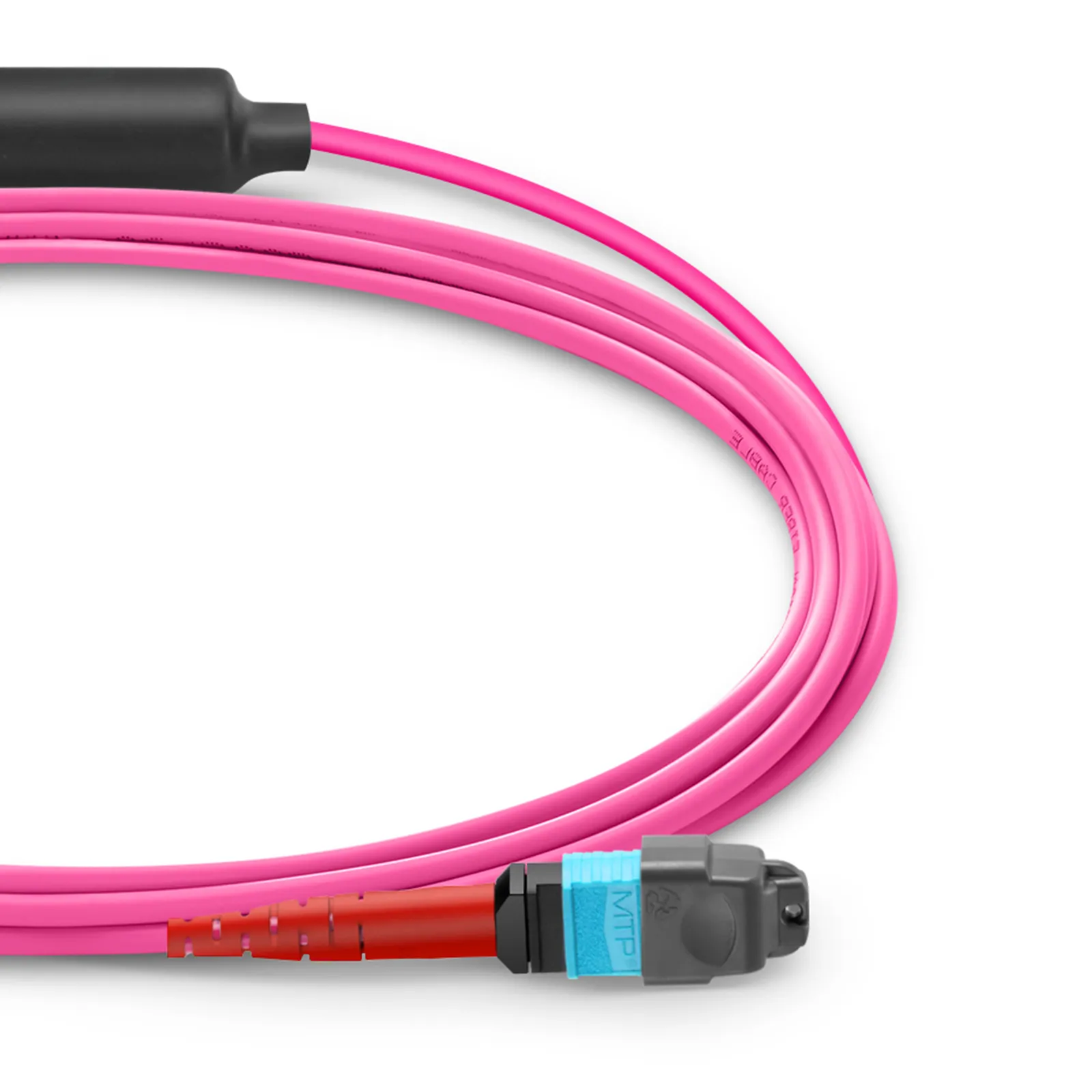 Customized 24-Fiber MTP-24 OM4 50/125 MTP® Conversion Cable - FS.com