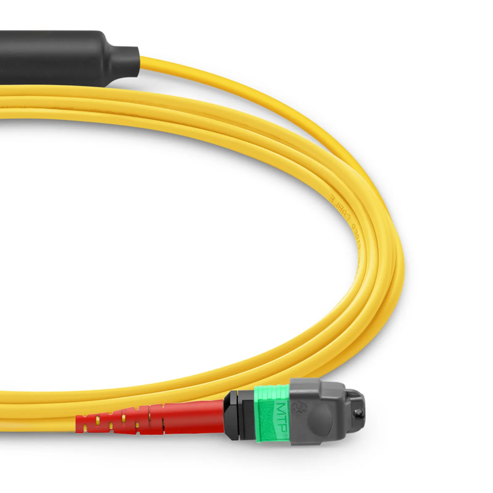 3m (10ft) MTP® Breakout Cable, MTP®-24 APC (Female) to 2 x MTP®-12 APC ...