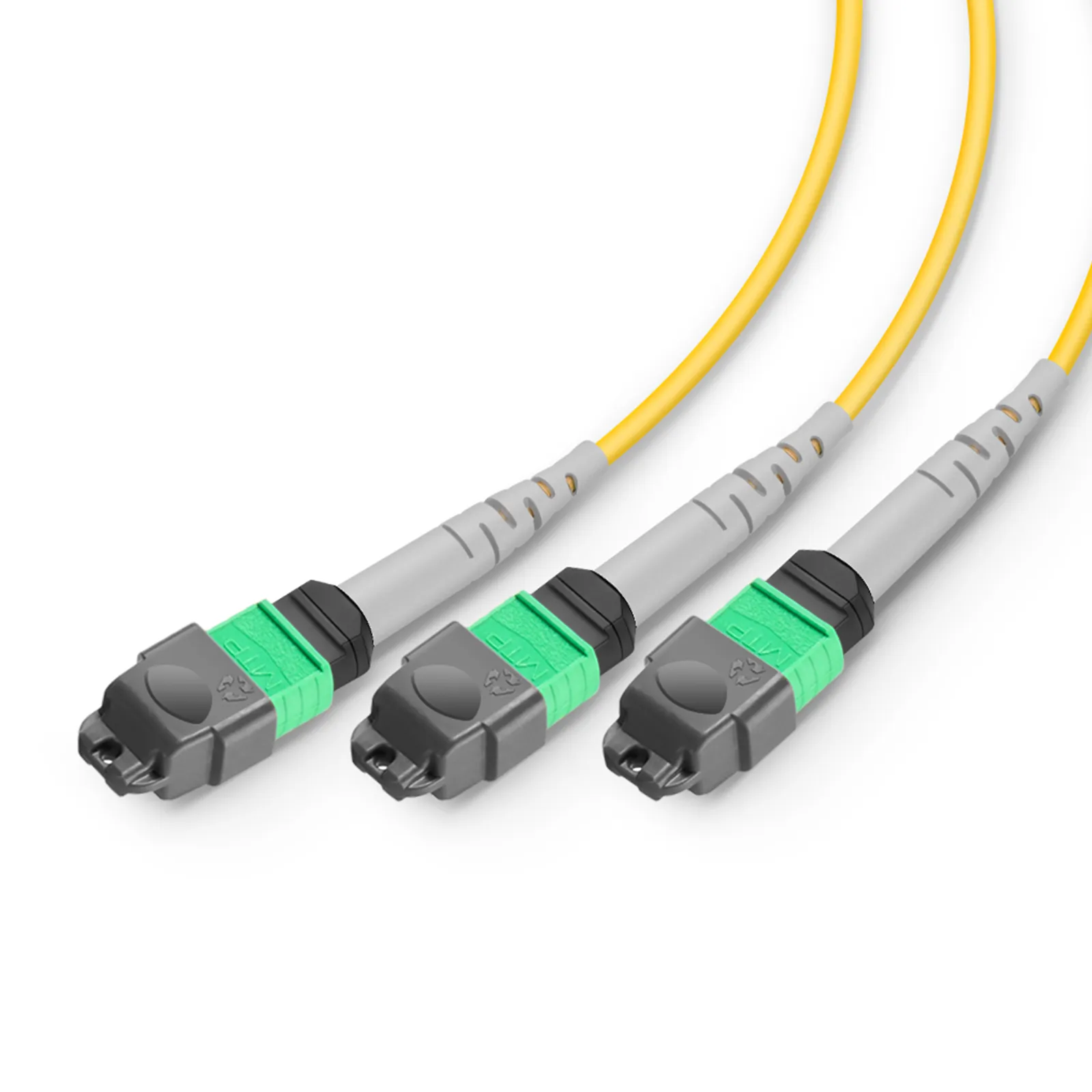 5m(16ft) MTP®-24 APC (メス) - 3x MTP®-8 APC (メス)、MTP®ブレイクアウトケーブル(24芯、OS2シングルモード、プレナム/OFNP、最大0.35dB ...