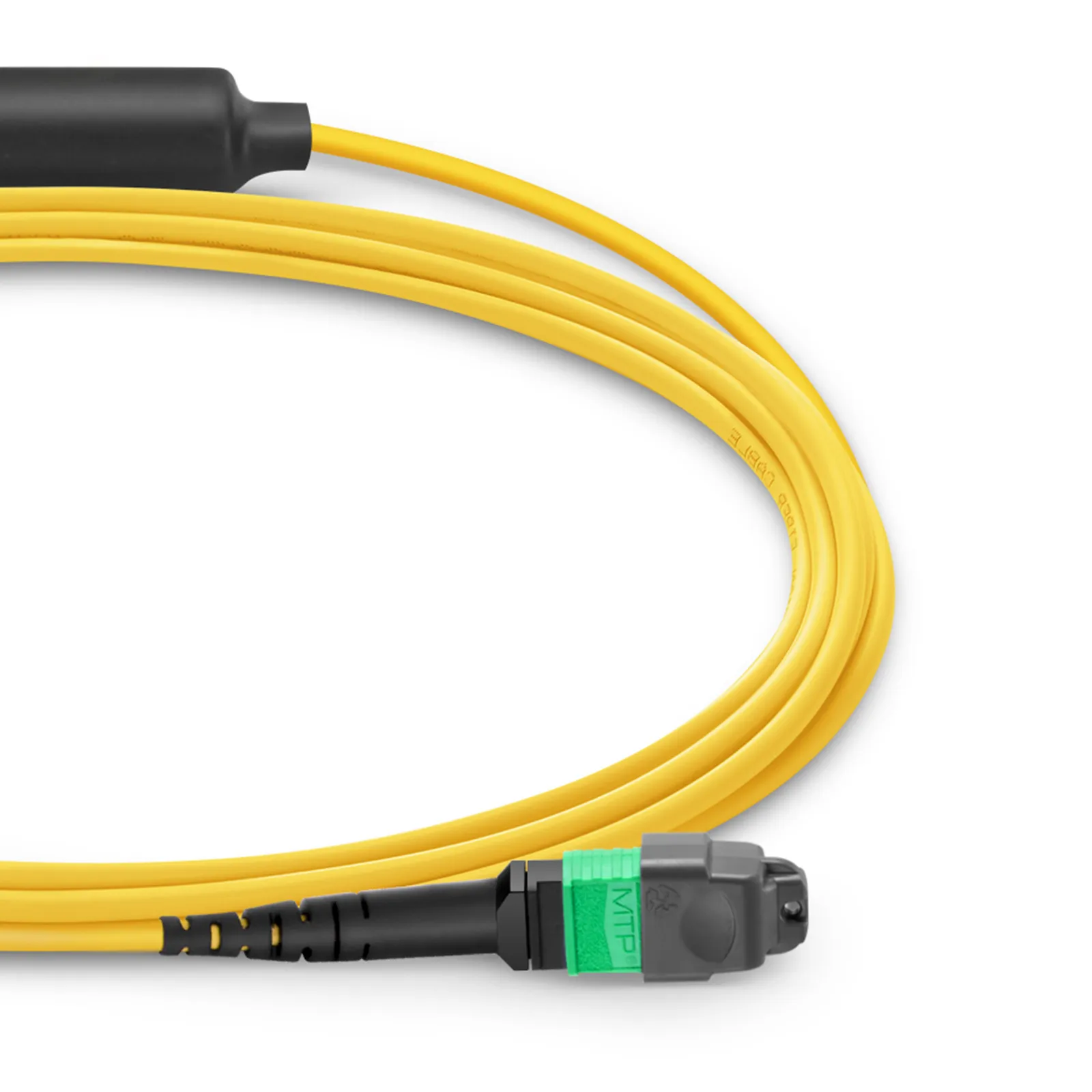 カスタム MTP®-16 - 2 x MTP®-8 OS2 シングルモード 変換ハーネスケーブル(16芯、黄色) - FS JAPAN株式会社