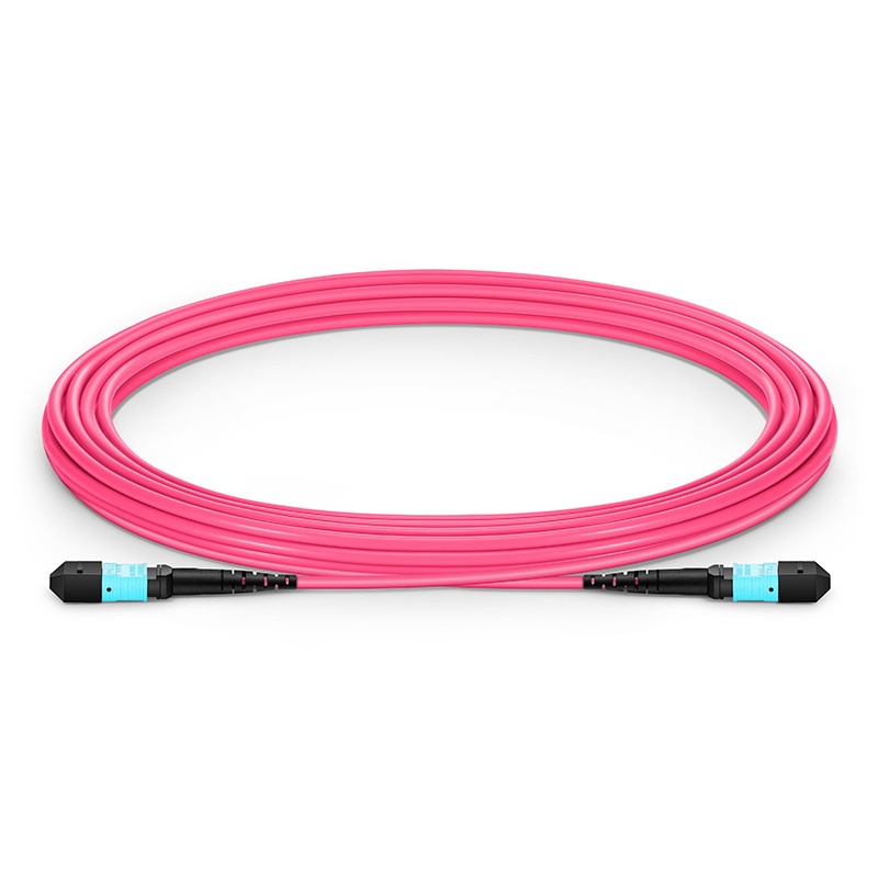 5m (16ft) 12-Fiber OM4 50/125 MTP® Trunk Cable, Polarity B, OFNP - FS